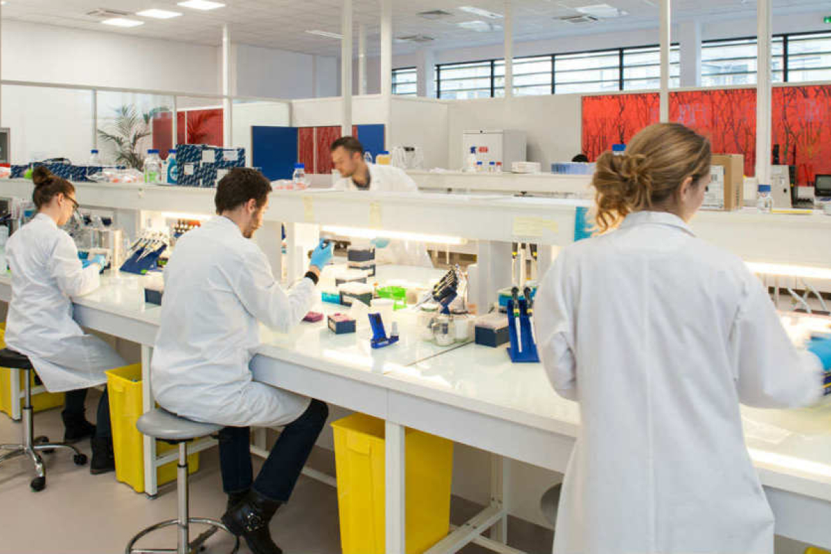 Genomic Vision : sauvé par Sanofi ? - 30/07/2019 à 13:06 - Boursorama