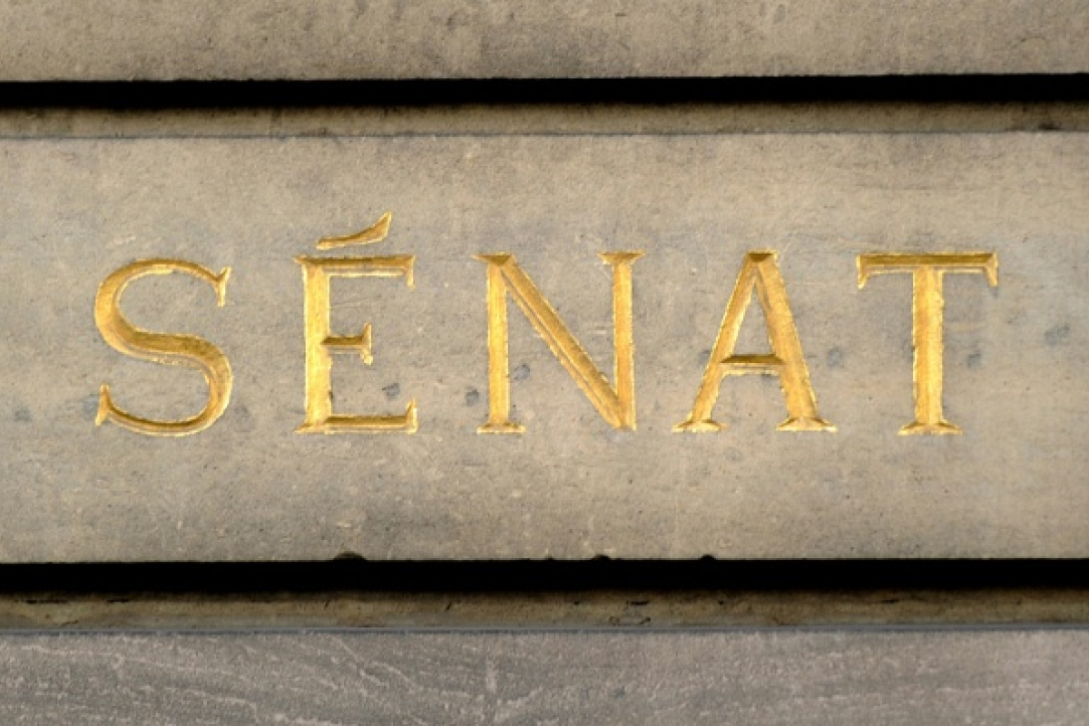 Le masculinisme, ce "poison" qui infiltre la société, affirme le Sénat ...